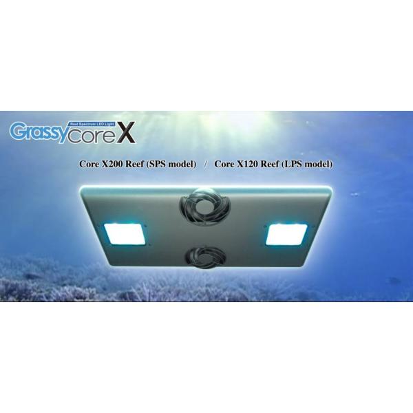 注文や問い合わせる際、当店の会社概要、お買い物ガイドを必ずお読みください。商品説明文：ボルクスジャパン グラッシーコア X120 リーフは、サンゴ飼育に最適なLED照明です。フラットで均一な蛍光灯のような自然で柔らかな配光を実現し、メンテナ...