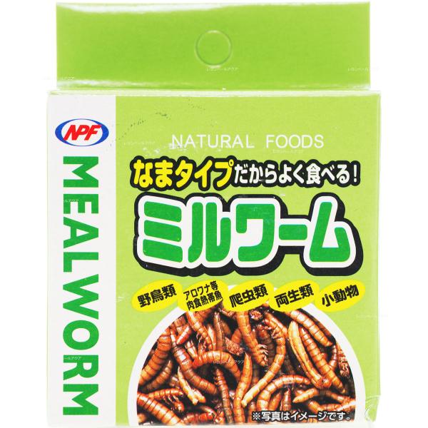 注文や問い合わせる際、当店の会社概要、お買い物ガイドを必ずお読みください。加熱処理されたなまタイプのミルワームは、缶入りで衛生的に管理されています。野鳥類やアロワナ、肉食性の熱帯魚、爬虫類、両生類、小動物など、幅広いペットに適しており、栄養...