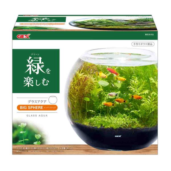 注文や問い合わせる際、当店の会社概要、お買い物ガイドを必ずお読みください。GEX グラスアクア ビッグスフィアは球形デザインが美しいガラス製インテリア水槽。広めの容量でレイアウトも楽しめる卓上アクアリウム。・本体サイズ：約 幅250×奥行2...