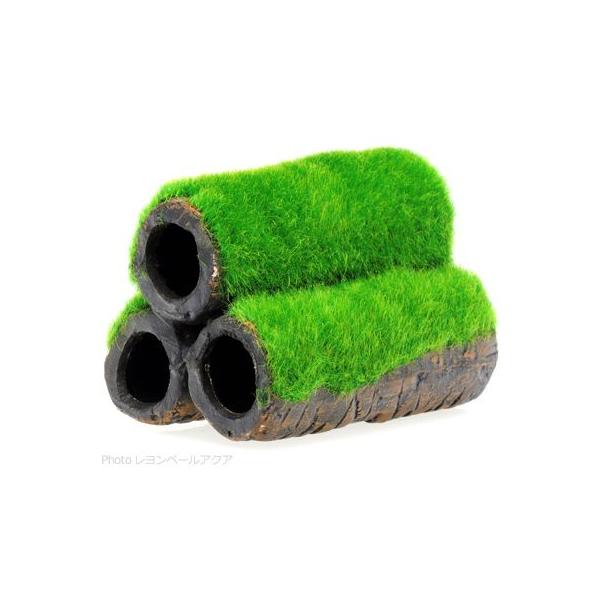 注文や問い合わせる際、当店の会社概要、お買い物ガイドを必ずお読みください。水槽に入れるだけで癒しを与えてくれる美しいグリーンのアクセサリーです。土管の苔がまるで歳月をかけて自然に生えた苔の雰囲気を再現しました。（幅×奥行×高さ）：約幅80×...