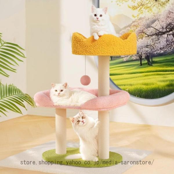 適用対象：子猫から大型猫まで