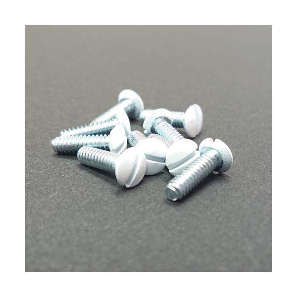 【発売日：2020年08月20日】【商品コード：SCREW-DP】当社取り扱いのデコレータープレート用の「インチサイズ マイナス」ねじです紛失された場合などの予備として、ご利用ください。当社販売のプレートには、プレート取付用のねじが付属して...