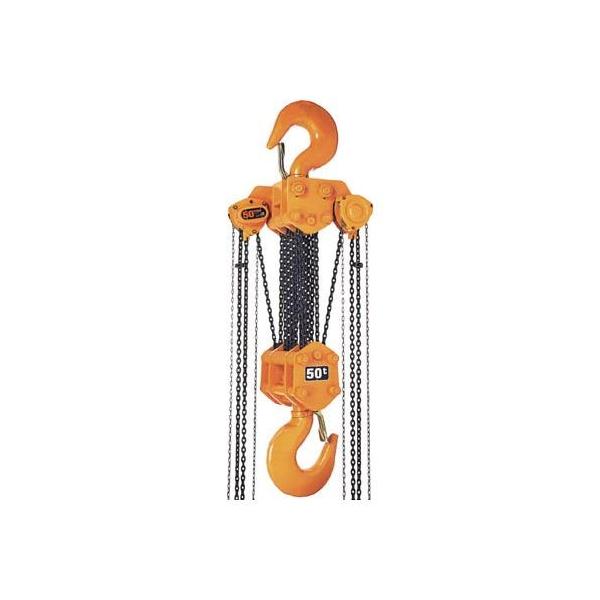 【発売日：2018年02月07日】【商品詳細】●機械効率が高く、最少の手動力で優れた作業性を発揮します。●世界最高レベルのロードチェン（破断応力1000N/mm[[の２乗]]以上）と抜群のブレーキ性能です。●定格荷重(t):7.5●標準揚程...