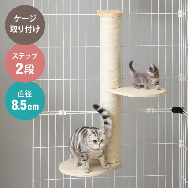 【発売日：2025年04月28日】■サイズ(約)全体高さ：65.5cmステップ板：幅28cm×奥行き22cm×厚み1.1cmつめとぎ：直径8.5cm×高さ30cm※手作業で採寸のため、サイズには若干の差（約1〜2cm）がございます。■重量(...