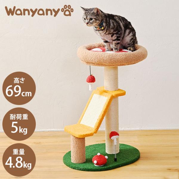 【発売日：2026年07月27日】【商品説明】子猫からシニア猫まで安心して使える、小さめサイズのきのこ型キャットツリー。省スペースで置きやすく、組み立ても簡単です。天然麻縄を使用した爪とぎはザラッとした質感で爪にしっかりフィット。やわらかな...