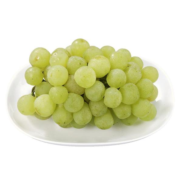 【発売日：2023年06月28日】【商品特徴】上品なマスカット香を持ち、大きな楕円（だえん）形の粒は硬くしまりのある肉質で歯切れがよいシャインマスカット。糖度は高く、酸味は少なめです。ブドウの中でも特に甘い味わいの品種です。果皮が薄く皮ごと...