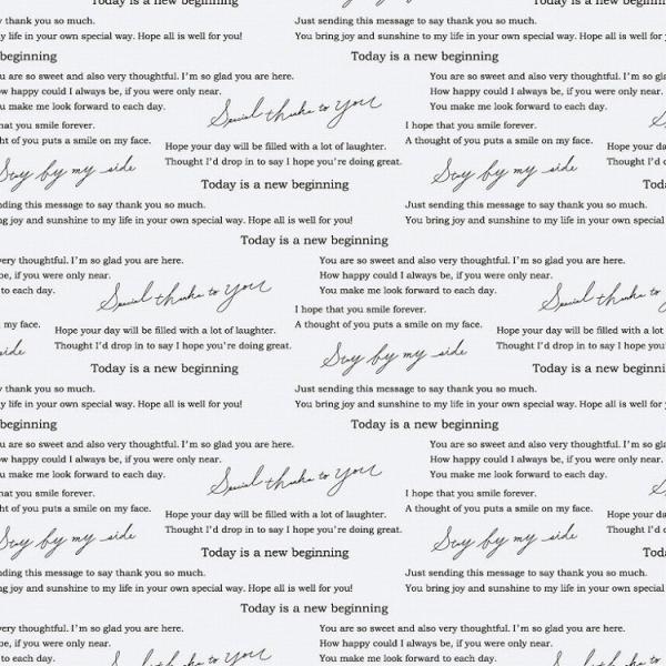 【発売日：2024年06月24日】●デリ・スイーツ・雑貨等のラッピングに最適■サイズ奥行250×幅375高さ430材質パラフィン紙,