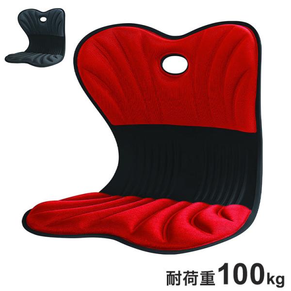 【発売日：2024年10月02日】座った瞬間“背筋がピンッ”。長時間でも腰がラク弾力性のあるS字形状が座った時に腰を支え背中を押し出し、自然にピンと背筋が伸びた美姿勢に。こんな方にオススメ！疲れやすい・腰が辛い・姿勢が悪い・座った体勢でいる...