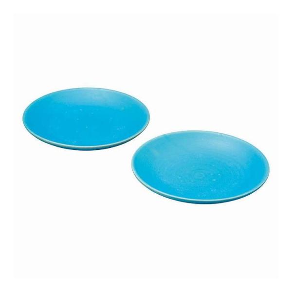 【発売日：2025年12月25日】【商品詳細】あでやかなトルコブルーの器。琵琶湖の色をモチーフに作成しました。窯の場所やその時の土の性質、季節などでひとつひとつ表情が異なる味わいがある一品です。内容:丸皿（約φ220×35mm）×2原産国:日本