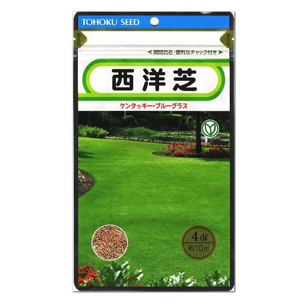 西洋芝ケンタッキーブルーグラスは低温に強いので冬にも青々とした芝生が楽しめ、一年を通して緑の映える素晴らしい庭を作ることができます。またち密で丈夫ですからスポーツターフとして十分耐えます。栽培に当たって注意すべき点は、ケンタッキーブルーグラ...