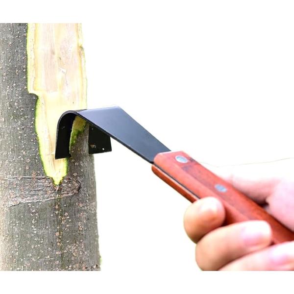 木の皮を削るための皮削りです。害虫対策の粗皮削りなどの作業にご使用ください。「しっかり削れる」先端に向かい広くなる構造で先端は水平より少し内側に入っています。この構造により振り下ろす力を逃がすことなく先端に伝えしっかり皮が削れる作りとなって...