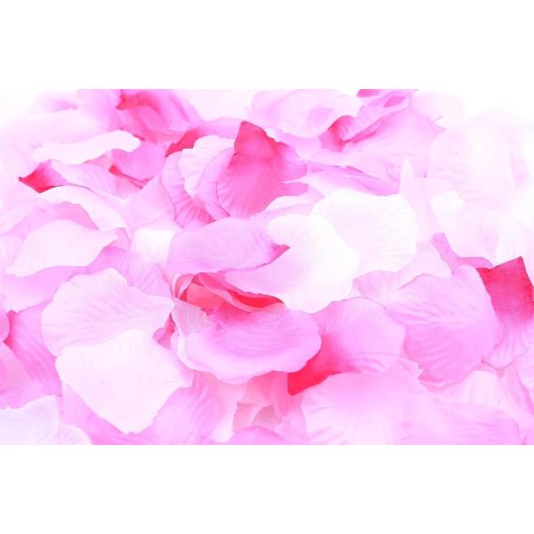 バリエーションコード : 2BBEBBYK0Xチャペルや庭園でのウェディングや神社神殿和式人前式などの和婚、フォトウェディングなどで新郎新婦を祝福し挙式のクライマックスを演出するアイテムとして欠かせないフラワーシャワーセットです。挙式を終え...