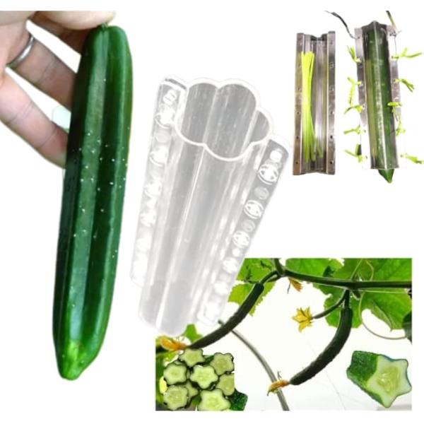 キュウリをオシャレな形に形成します。でこ弁当の材料に、サラダの飾りつけなど、盛り付けのアクセントにいかがでしょうか。キュウリの実が5〜8cmになったらケースをかぶせ、穴を縛って留め、適度な大きさになったら収穫してください.毎年使えます。家庭...