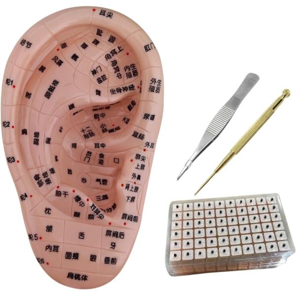 バリエーションコード : 2B908L963X耳に存在する自律神経ツボの位置を分かりやすく示し、ツボ療法や鍼療法で自己ケアで調子を整えたい方に最適です。銅でできたツボ刺激スティックと、600個のチタンビーズ、ピンセットが含めています。耳の形...
