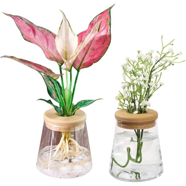 「水耕栽培」土を使わず衛生的に植物を育てることができる、ハイドロカルチャー（水耕栽培）が人気です。ハイドロはギリシャ語で、カルチャーはを意味します。「透明ポット」土の有機物が原因のコバエなどが出にくく、透明のポットは水の状態が一目でわかり管...
