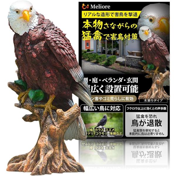 バリエーションコード : 2BUVCCPPYX「置くだけ簡単。本物さながらの猛禽で害鳥対策」リアルな造形と力強い存在感を誇る鷹・鷲の置物は、畑や庭、ベランダや玄関、ヨットやボート、駐車場などに設置するだけで、鳩よけ(ハト)、カラスよけ、野鳥...
