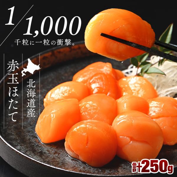 ◆ 商品内容ホタテ貝柱（赤玉） 250g1,000粒に1粒の確率でしか獲れない赤玉ホタテ。食卓を鮮やかに彩ってくれます。◆ 産地北海道産◆ 量の目安250g◆ 賞味期限冷凍保管で1ヶ月程度。解凍後は冷蔵保管で2日程度。※生ものですのでお早め...