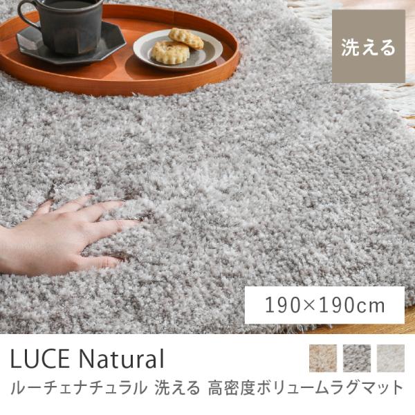 【発売日：2026年02月11日】