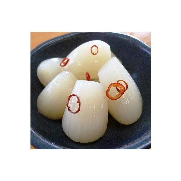 【発売日：2024年09月26日】九州産のラッキョウを使用し十分に漬け込み低温熟成した上味付けをおこないました。らっきょう本来の歯切れと風味を最大限に生かしました、又調味にもこだわりサッパリとしたまろやかな味に仕上げました。酢は鹿児島県福山...