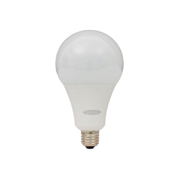 【発売日：2024年04月24日】特長●割れにくいPC樹脂のLED電球です。仕様●明るさ(lm)：2680●光源色：昼白色●外径(mm)：95●消費電力(W)：23●口金：E26●相当電球(W形)：150●定格寿命(時間)：40000●適合...