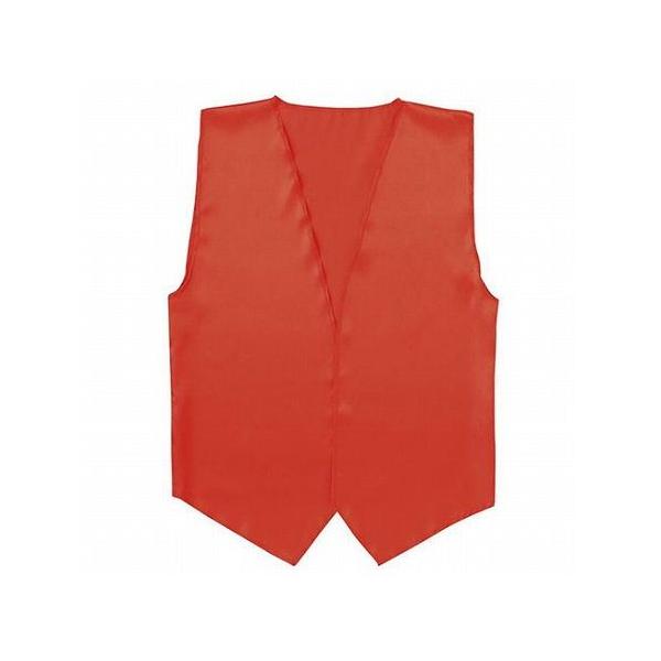 【発売日：2024年08月20日】サテン製の光沢のあるベスト光沢のあるサテンを使ったベスト。演舞やダンスの衣装に最適!●商品サイズ : 700×570mm●セット内容 : 本体のみ●1個重量(g) : 53●材質 : ポリエステル●1個梱包...