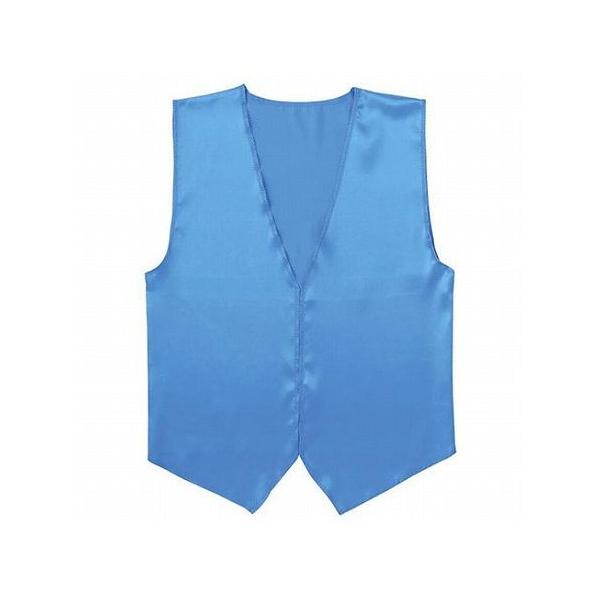 【発売日：2024年08月20日】サテン製の光沢のあるベスト光沢のあるサテンを使ったベスト。演舞やダンスの衣装に最適!●商品サイズ : 700×570mm●セット内容 : 本体のみ●1個重量(g) : 70●材質 : ポリエステル●1個梱包...