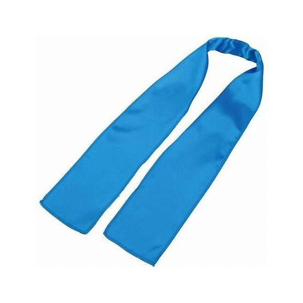 【発売日：2026年02月10日】アレンジ無限大!光沢がきれいなサテンスカーフ!光沢のあるサテン生地が美しいスカーフです。上品なツヤ感と発色の良さが魅力で、首元に巻いてリボンやネクタイ風にしたり、髪に結んでヘアアレンジに使ったりと、アレンジ...