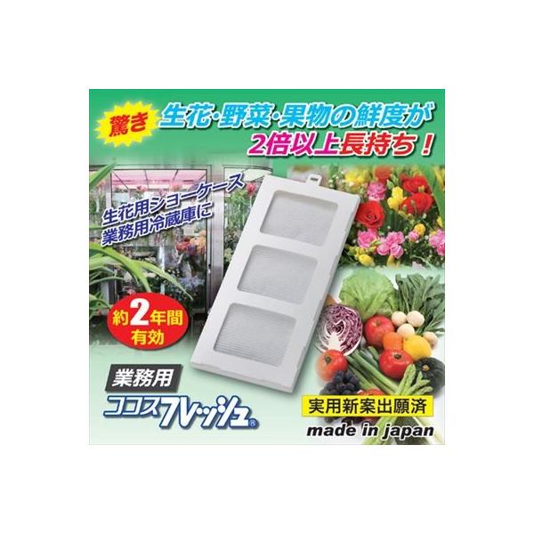 【発売日：2015年07月31日】【内容】●サイズ:幅10.8×奥行1.2×高さ25.3cm 内容量/40g●重量:約85g●材質:成分/ニッケルパラジウム触媒活性炭〔NiPd〕、袋/紙、容器/ポリプロピレン、ポリエチレン、吊下げ用バンド/...