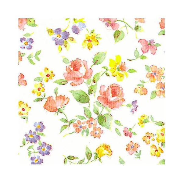 【発売日：2017年11月15日】規格：半才●寸法：横757×縦530mm●紙質：上質紙