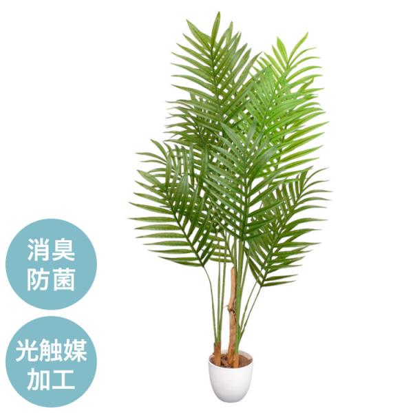【発売日：2025年10月17日】【商品説明】幹を連結させる組み立て式です。水やり不要・日光不要で置く場所を選ばずお手入れも簡単です。グリーンによる癒し効果もあるので自宅に限らずオフィスにもお勧めです。葉は光触媒加工を施しており、置いておく...
