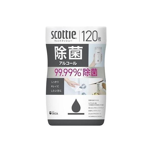 【発売日：2025年04月15日】【商品詳細】●スリムでコンパクトな除菌アルコールのウェットティシュー●しっかりとキレイにしたい方に●フィルムをめくるとお部屋になじむシンプルデザインに●植物由来のアルコール配合でバイ菌を強力除菌。除菌性能テ...