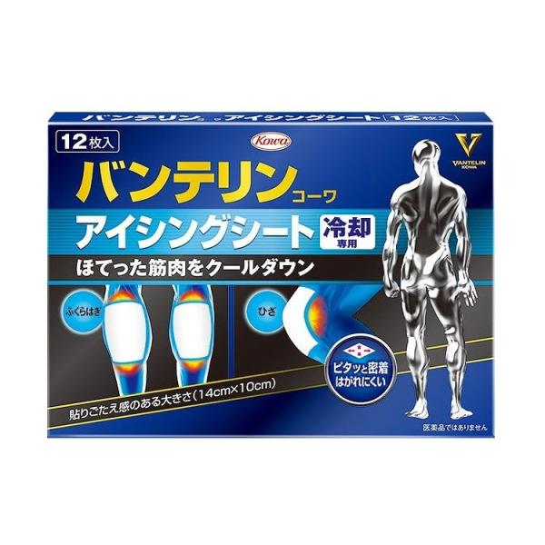 【発売日：2022年08月02日】【商品説明】ほてった筋肉をクールダウン！ピタッと密着はがれにくい！【商品詳細】商品区分：日用雑貨品内容量：12枚製造国：日本本体重量(g)：247成分メーカー名：興和（株）使用方法注意事項※予告なくパッケー...