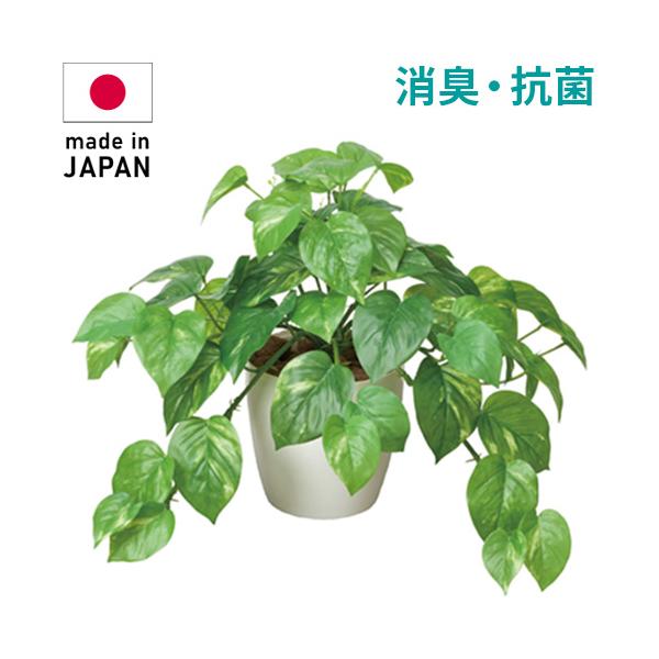 【発売日：2023年08月31日】室内空間の美しさを引き立たせるグリーンやフラワーは、インテリアの仕上げには欠かせないアイテムです。光の楽園は水やりの必要がなく衛生面や周囲の環境により、 生の植物では適応できない場所でも比較的簡単に装飾でき...