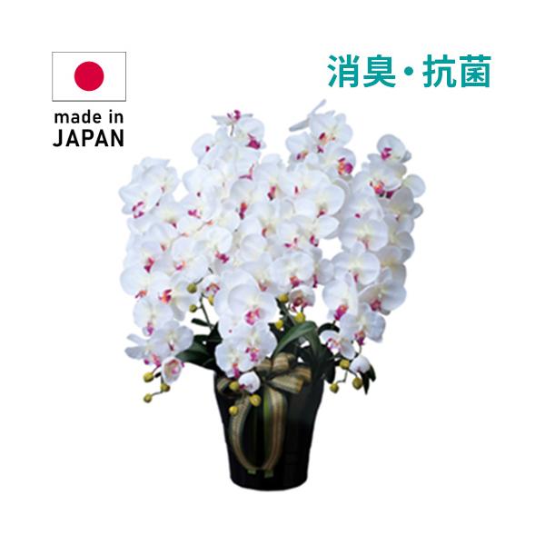 【発売日：2023年08月31日】室内空間の美しさを引き立たせるグリーンやフラワーは、インテリアの仕上げには欠かせないアイテムです。光の楽園は水やりの必要がなく衛生面や周囲の環境により、 生の植物では適応できない場所でも比較的簡単に装飾でき...