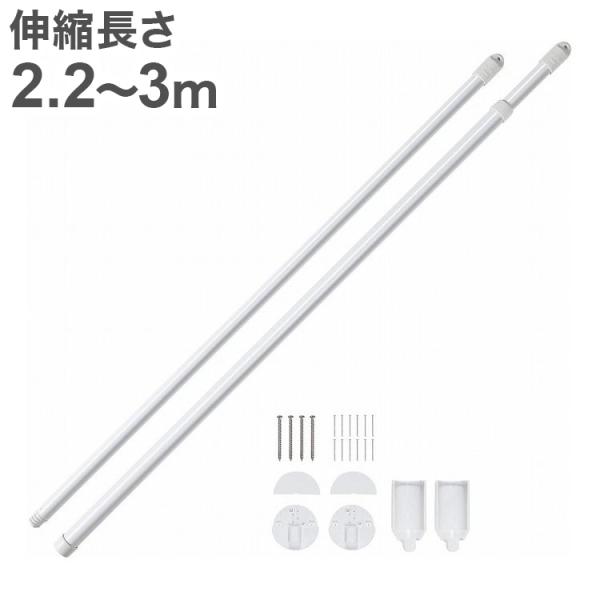 【発売日：2022年12月22日】スペースのコーナーに設置できる竿受けと物干し竿のセット。固定具と竿受けを石膏ボード壁に取り付けて設置する。竿と竿受けは取り外し可能。商品内容:継ぎ足し伸縮竿×1本、固定具×2セット、釘ピン×12本、木ネジ×...