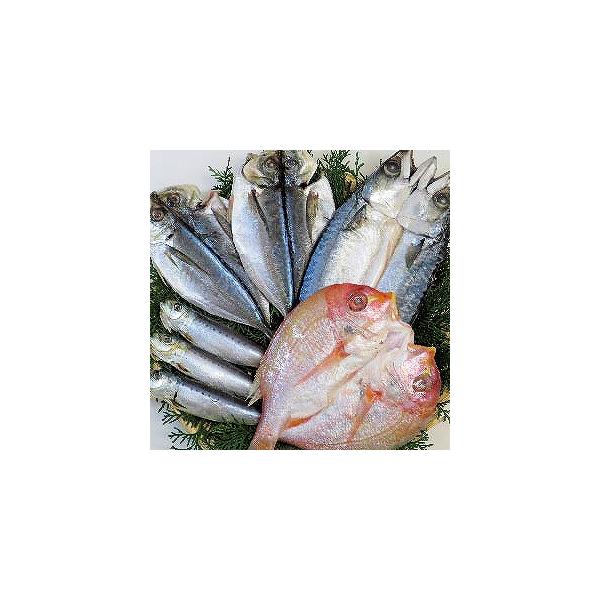 【発売日：2024年06月18日】【商品説明】九州各地の漁港で水揚げされた、天然鮮魚を手早く開き、五島灘の自然の海水から作った塩で甘塩加工し、低温熟成乾燥で仕上げた一夜干しをご賞味ください。【商品区分】食品【保存方法】冷凍【原材料(アレルギ...