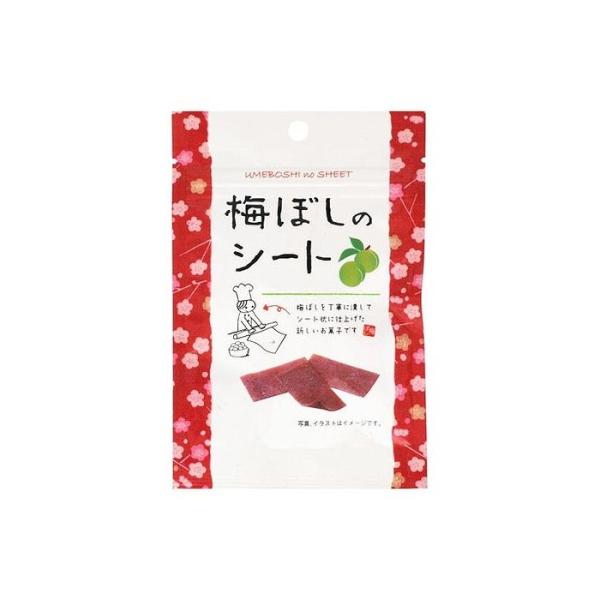 【発売日：2022年09月20日】【商品説明】梅ぼしをつぶして、ぺったんこのシート状にしました。いつでもどこでも食べやすいひとくちサイズの新感覚お菓子です!商品区分:加工食品保存方法:常温原材料(アレルギー表記含む):梅、糖類（砂糖、果糖ぶ...