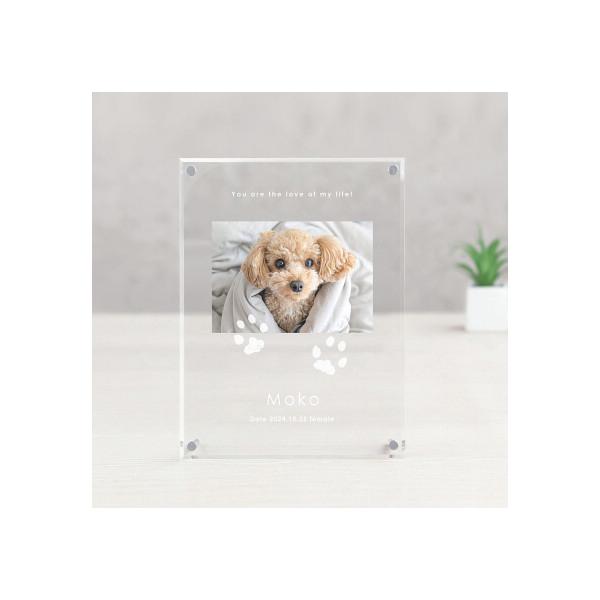 【発売日：2026年01月22日】●お申込書(お仕立て券)・カタログ・返信用後納封筒・手足形をとるインクキット・手足形のとり方説明書各1※デザインの変更、追加はいたしかねます。※お仕立券を紛失した場合は無効となり、再発行は致しません。愛犬・...