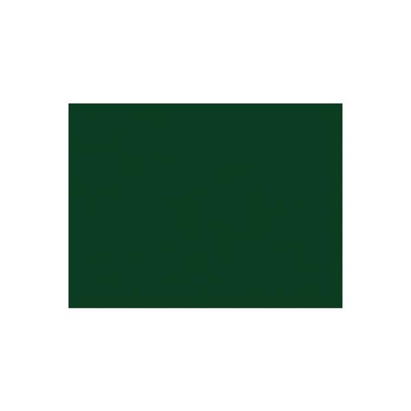 【発売日：2016年09月21日】【商品詳細】●暗線入りで書きやすく、文字も綺麗に消せます。●現場写真が撮りやすく、鮮明な読み取りが可能です。●現場記録、写真撮影用の黒板●縦(mm):450●横(mm):600●暗線入●緑色板面●仕様　　印...