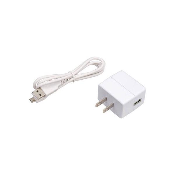 【発売日：2017年02月03日】【商品詳細】●専用充電池と単3形電池の両方が使えるハイブリッド電源です（電池は別売です）。●手袋をしていても操作がしやすい大型回転スイッチです。●光の向きを調整可能な上下可動ヘッド機構搭載です。●マイコン制...