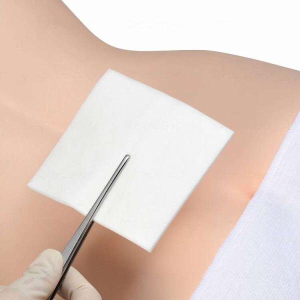 【発売日：2025年12月16日】【商品説明】○４ツ折りガーゼ約２枚分の高吸収力で、滲出液の多い創にも対応できます。○創傷面に固着しにくい非固着性フィルムを両面に使用しています。○１枚ずつ減菌済みなので、減菌の手間とコストがかかりません。○...