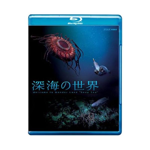 国内正規品となります。（海賊品ではありません。）お客様都合でのキャンセルは受けかねます。ブルーレイ【商品状態】新品未開封品JAN 4988013670440