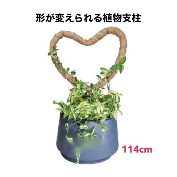 【A級品ココナッツ支柱】大型オーブン機で殺菌・乾燥させた天然ココナッツ繊維を一つ一つ丁寧に手作業で巻いたA級品のココナッツ支柱です。【ココナッツ支柱の特性】天然ココナッツの繊維から作っているので疎水性で通気性があり湿潤を保ち植物の根の付着を...