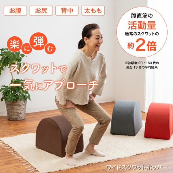 お尻・裏もも・内もも 内転筋 パリ式KANAMIメソッドパリ式KANAMIメソッドをもとに、美の筋肉をエクササイズする多機能な運動クッション。つらいワイドスクワットを簡単に、楽しくサポートします。美の筋肉とされる、お尻・裏もも・内ももなどが...