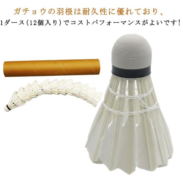 フリーサイズ