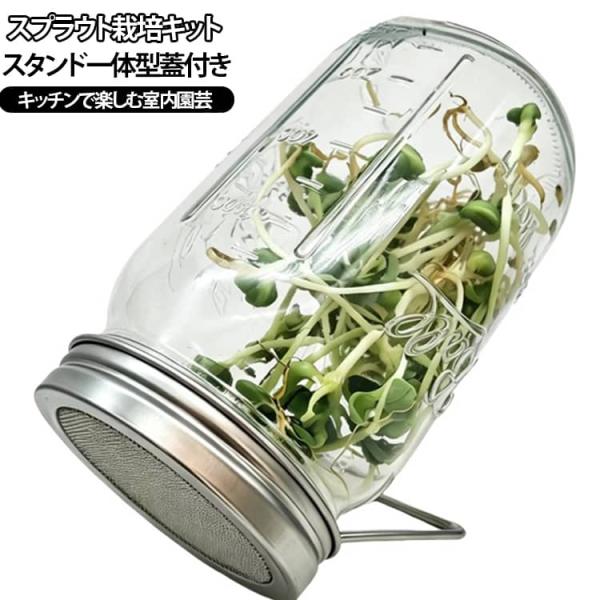 商品名:フィルター蓋付き 水切り スプラウト栽培容器 800ml ブロッコリースプラウト メイソンジャー スタンド付き蓋 発芽容器 ステンレス 発芽栽培 栽培キット 種子発芽 スプラウト 野菜栽培 アルファルファ ブロッコリースプラウト 家...