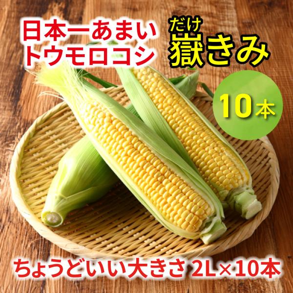 【発売日：2025年08月18日】朝採れ　産地直送　2Lサイズ　一般には手に入らないサイズをご自宅で味わえます。トウモロコシは気温が一番低い時間に収穫することによって最も甘いトウモロコシをお届けすることができます。れいたすでも朝の4時に収穫...