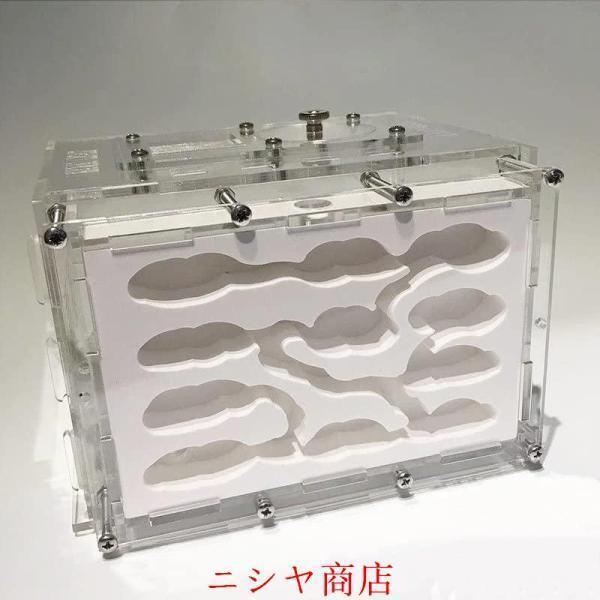 透明なアクリルでできたケースは360度どの方向からでも中のアリの生活を観察することができます。土やゲルを使用しないので腐らず清潔も簡単です。アリに快適に暮らせる理想的な飼育容器です。保湿性が高く湿度管理がしやすい、巣の上部（1/3）を湿らせ...