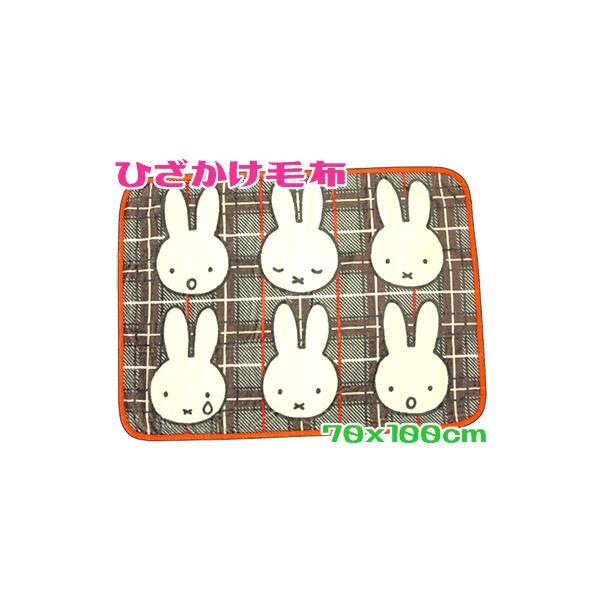 商品詳細●サイズ：約70x100cm●素材：ポリエステル100％　フランネルニューマイヤー●製品重量：約230g●生産国：中国●発売元：西川-・-・-・-・-・-・-・-・-発送（1枚の場合）●宅配便（関東地域）期日・時間帯指定可能●定形外...