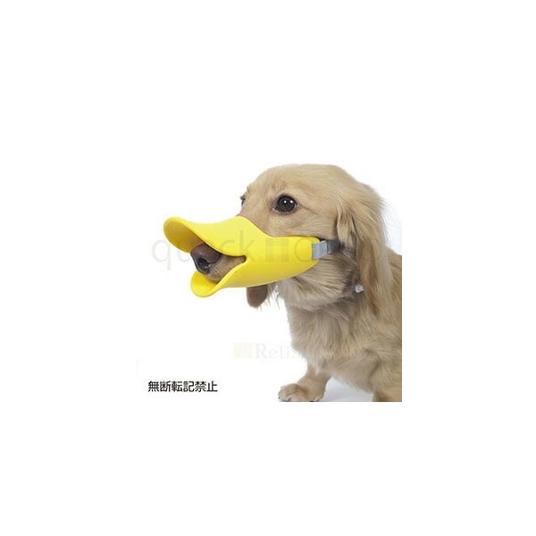 テラモトOPPOオッポクアック